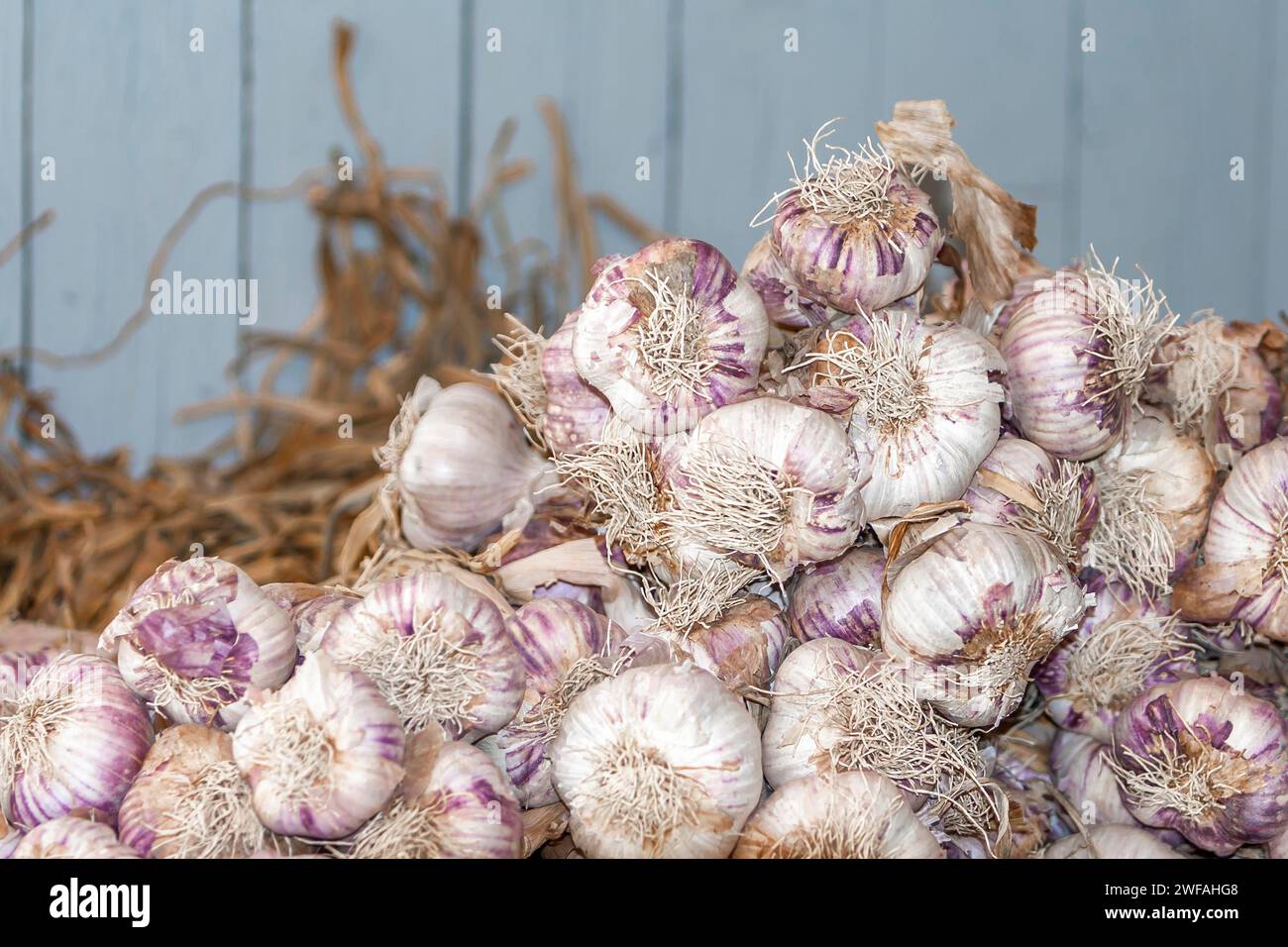 Garlic, market sale, market stall, Provence, France Stock Photo - Alamy