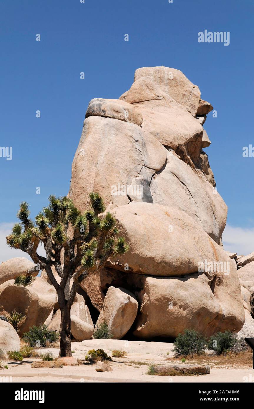 Monzogranite formations, Joshua Tree National Park, Palm Desert ...
