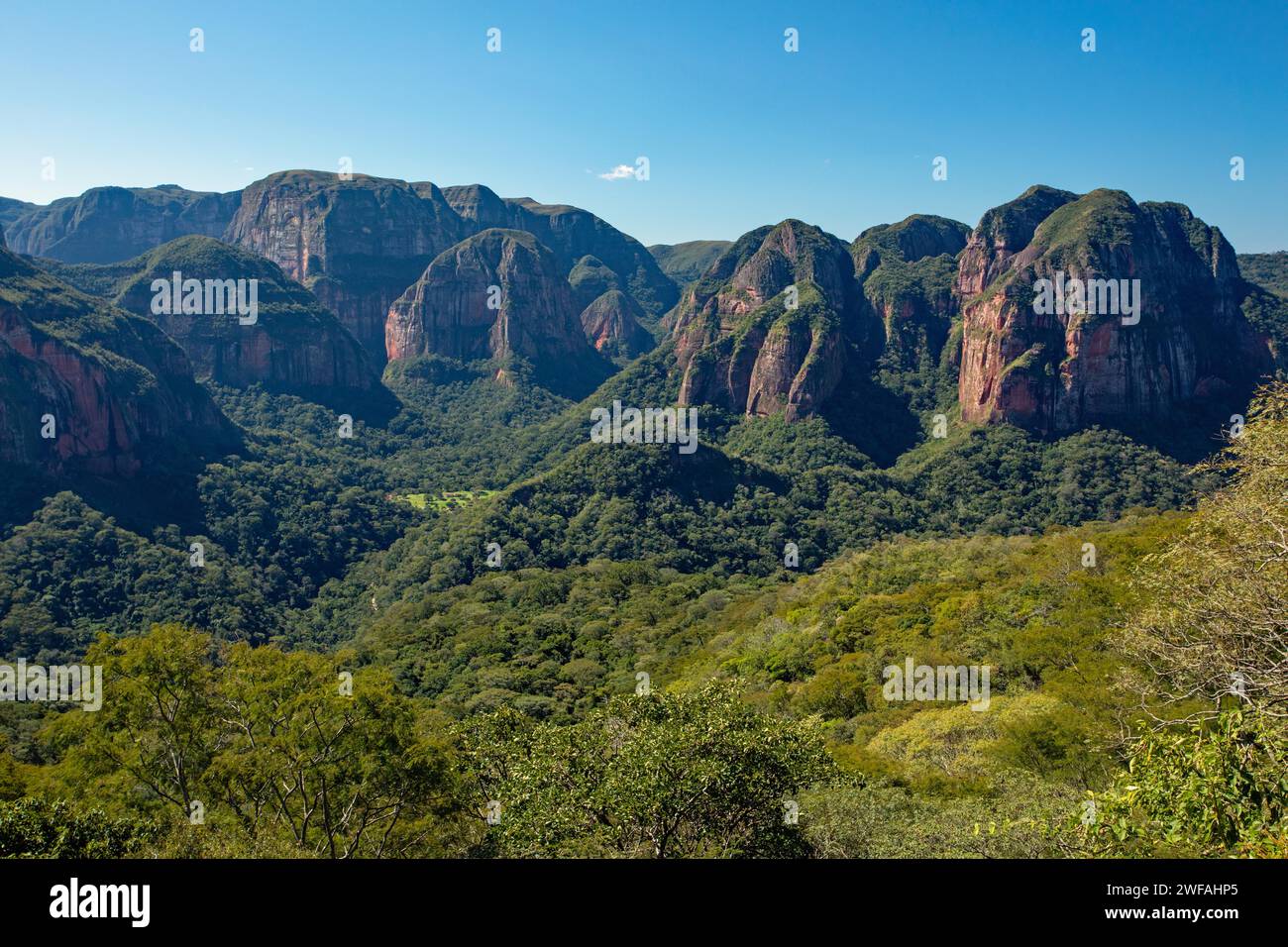 Amboro National Park Bolivia Stock Photo - Alamy