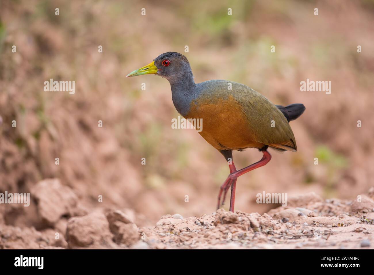 Rail environment hi-res stock photography and images - Alamy