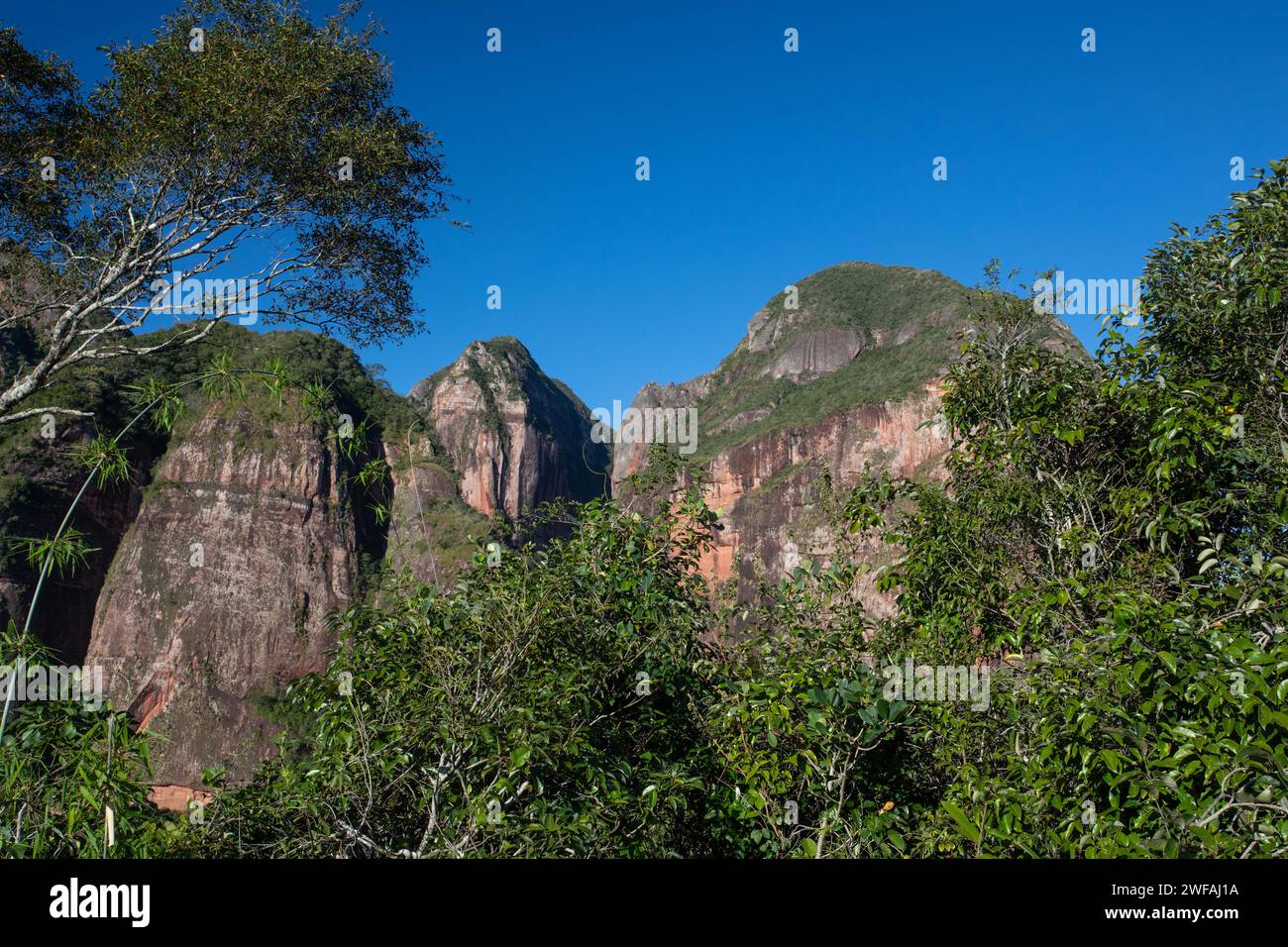 Amboro National Park Bolivia Stock Photo - Alamy