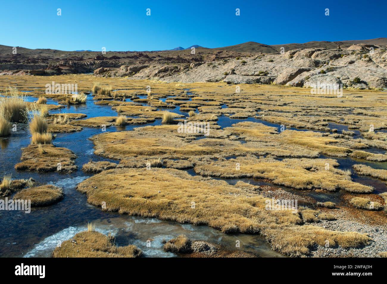 Eduardo avaroa national park hi-res stock photography and images - Alamy