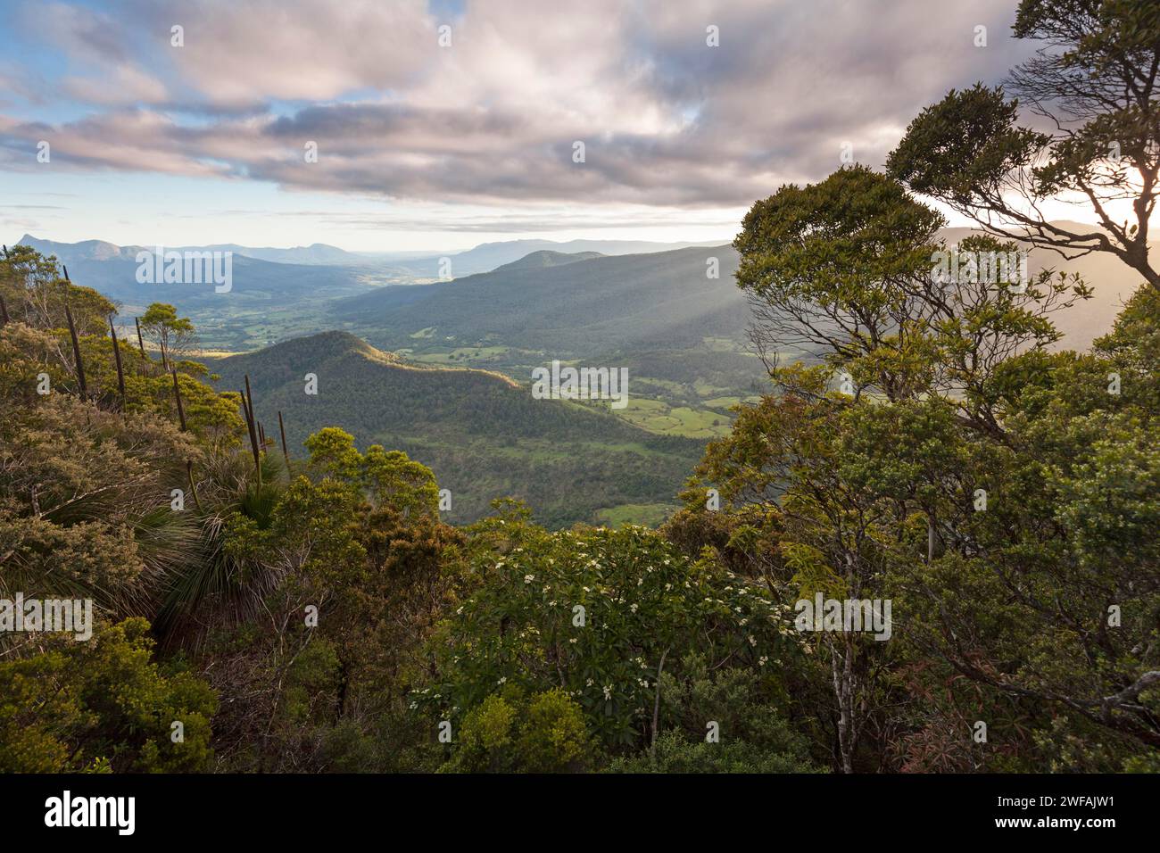 In Lamington National Park. View of Limpinwood Nature Reserve and Mt Warning, Wollumbin National ...