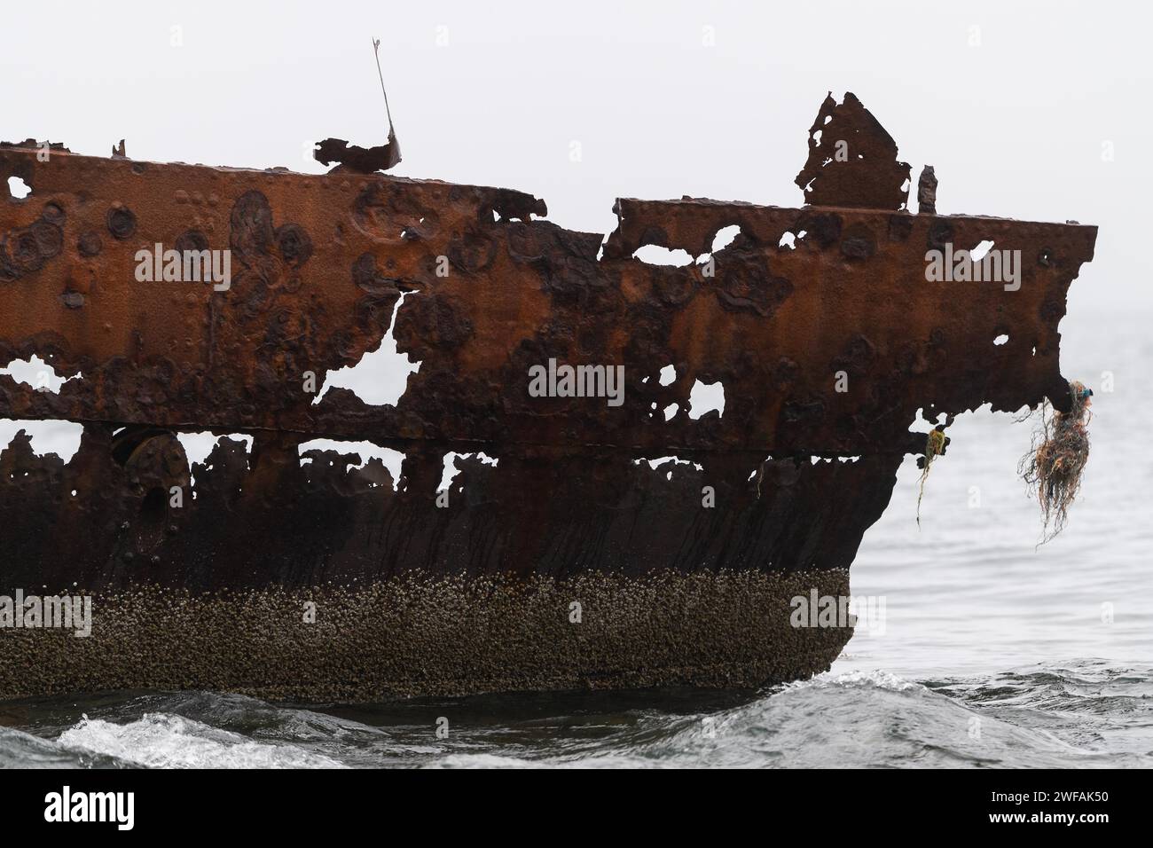 Rusty ship, abandoned herring factory Djupavik, Reykjarfjoerour ...