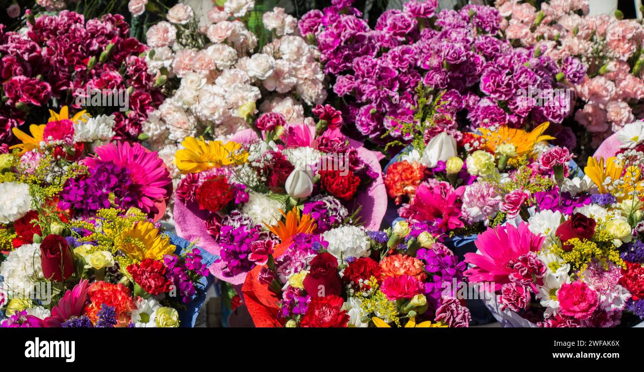 Blooming beautiful colorful fresh natural flowers in view Stock Photo ...