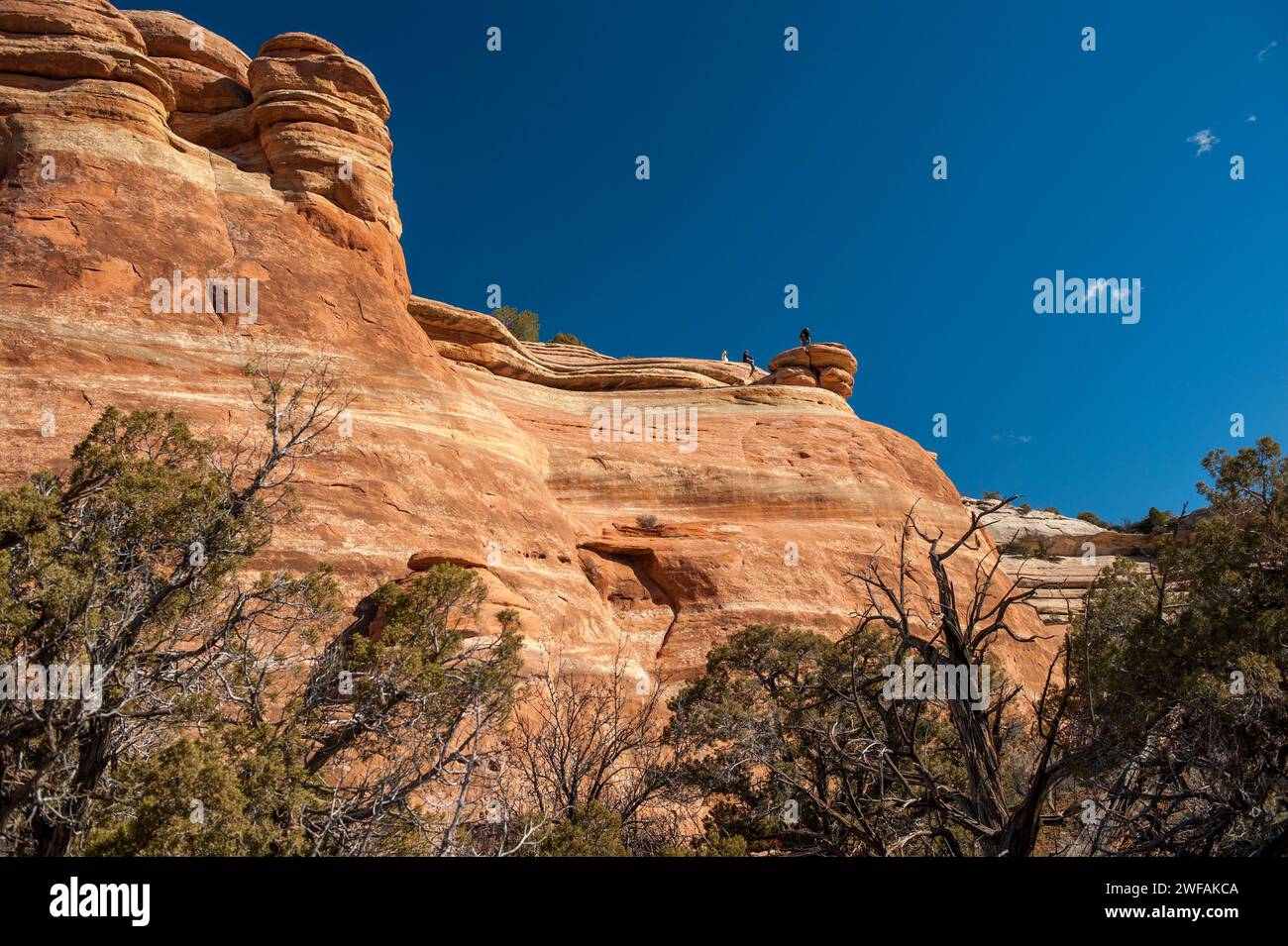 Hikers enjoy the view atop a sandstone bluff at Devil's Canyon in the ...