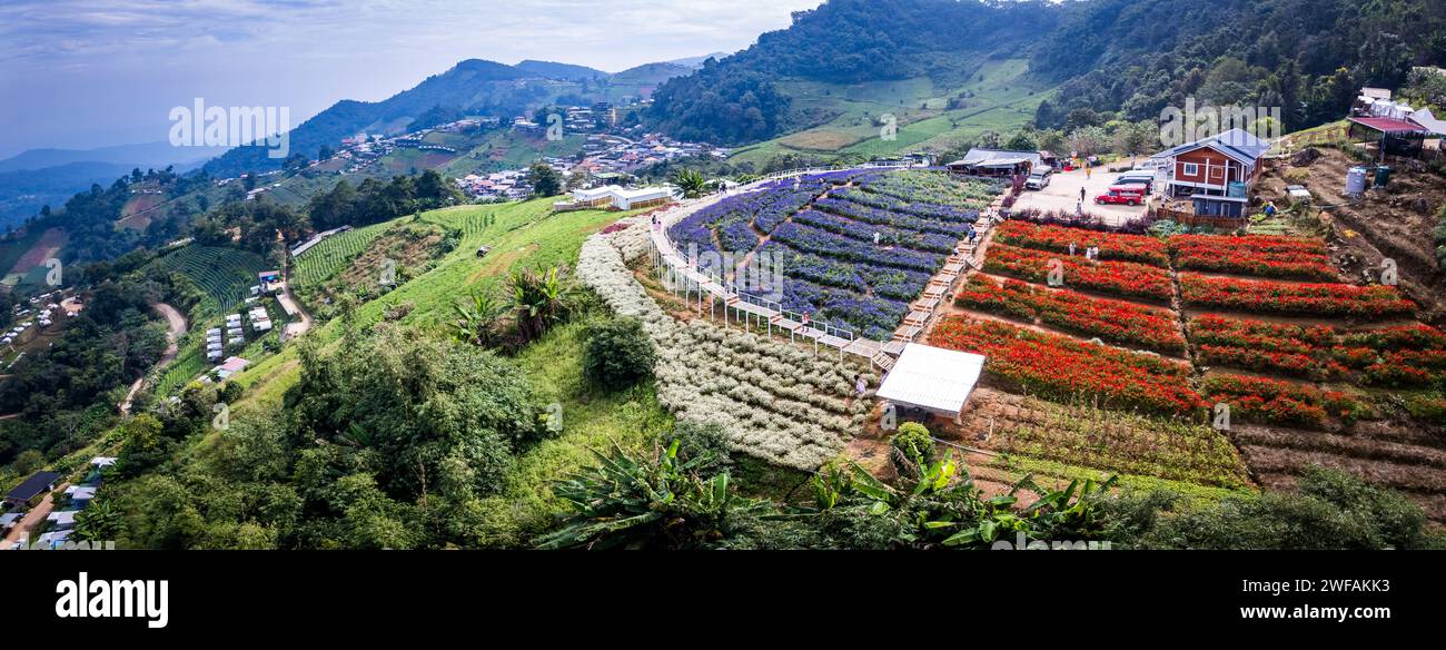 Ying Yong flower garden in Mae Rim, Chiang Mai Stock Photo - Alamy