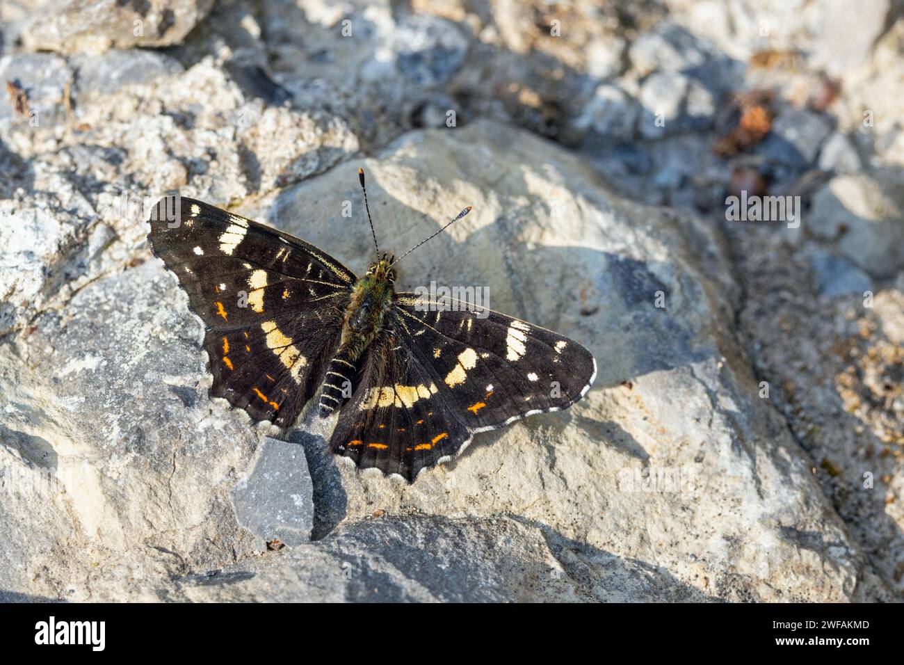Natural map hi-res stock photography and images - Alamy