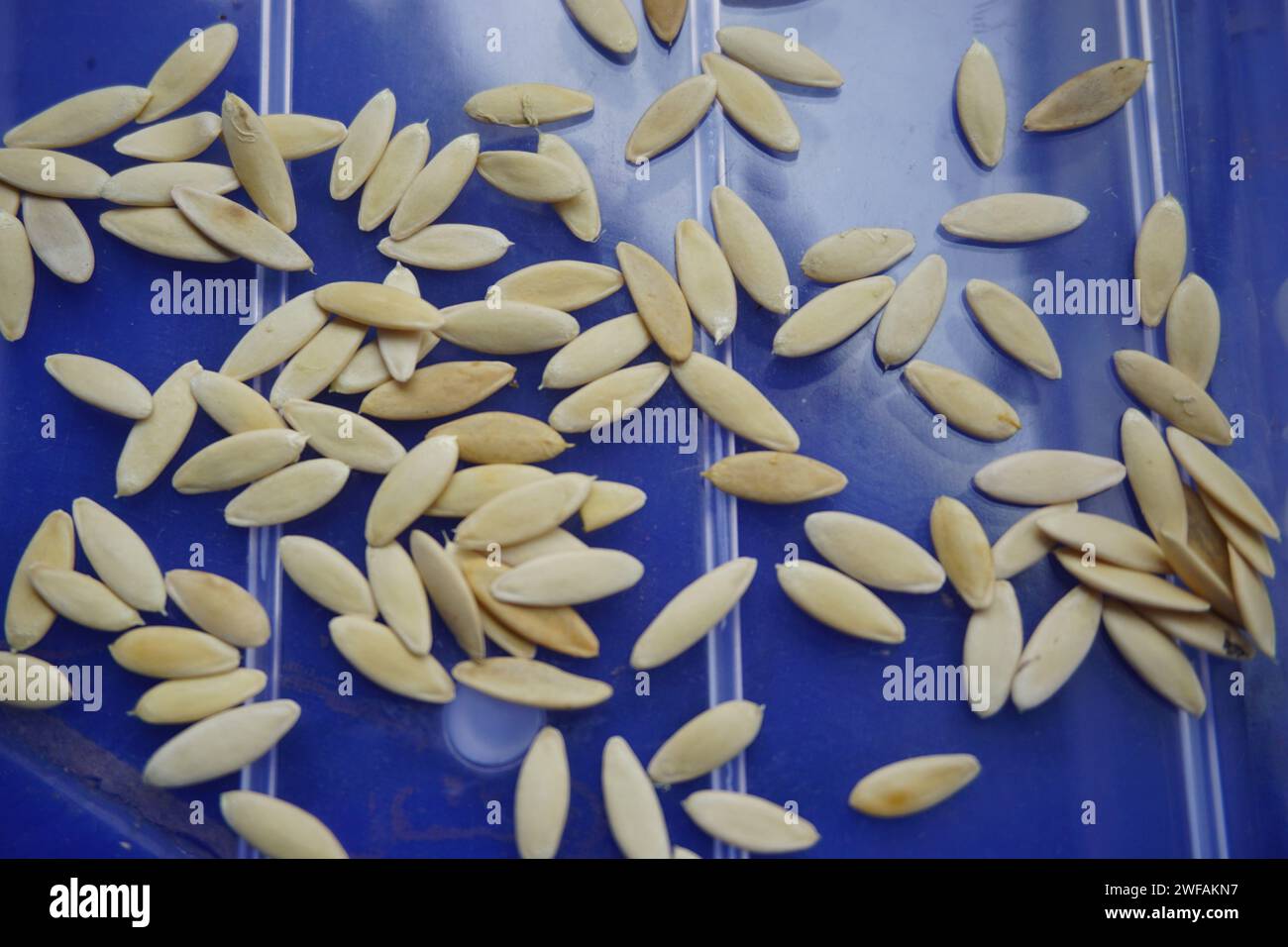 Stock Photo of vegetable and fruit grains Stock Photo - Alamy