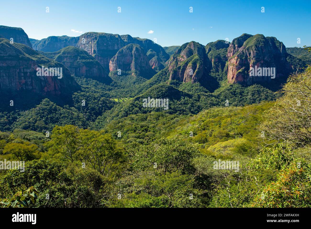 Amboro national park hi-res stock photography and images - Alamy