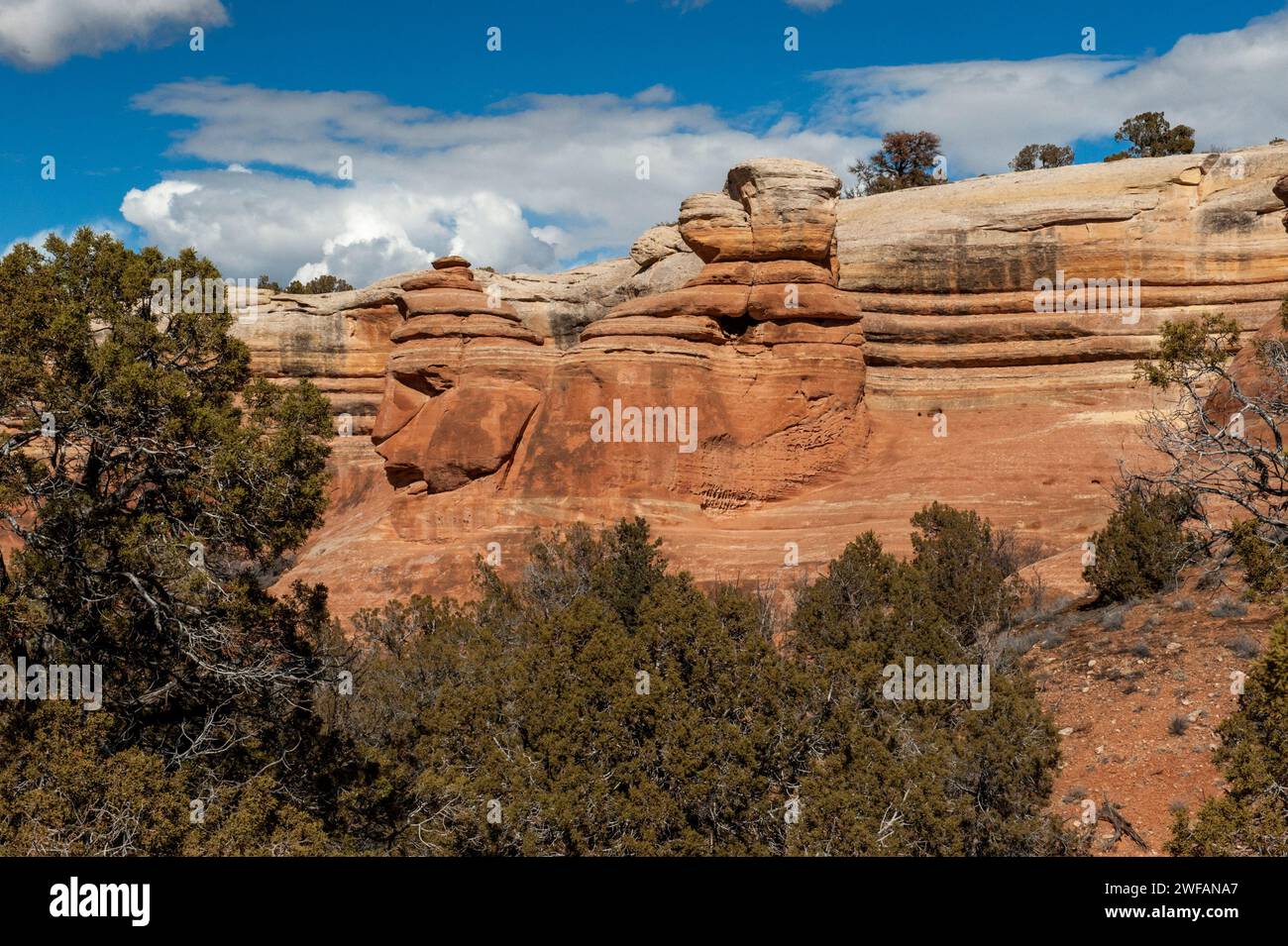 Entrada sandstone features in the side walls of Devil's Canyon, near ...