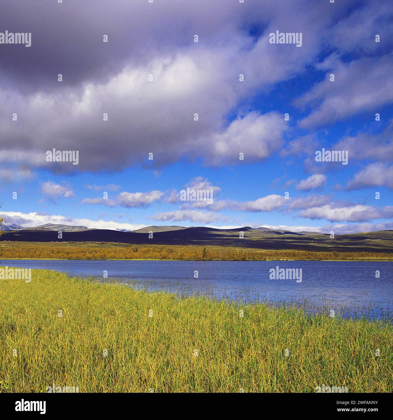 Lake and hills in the low-lying sub-arctic region of Dovrefjell, Norway ...
