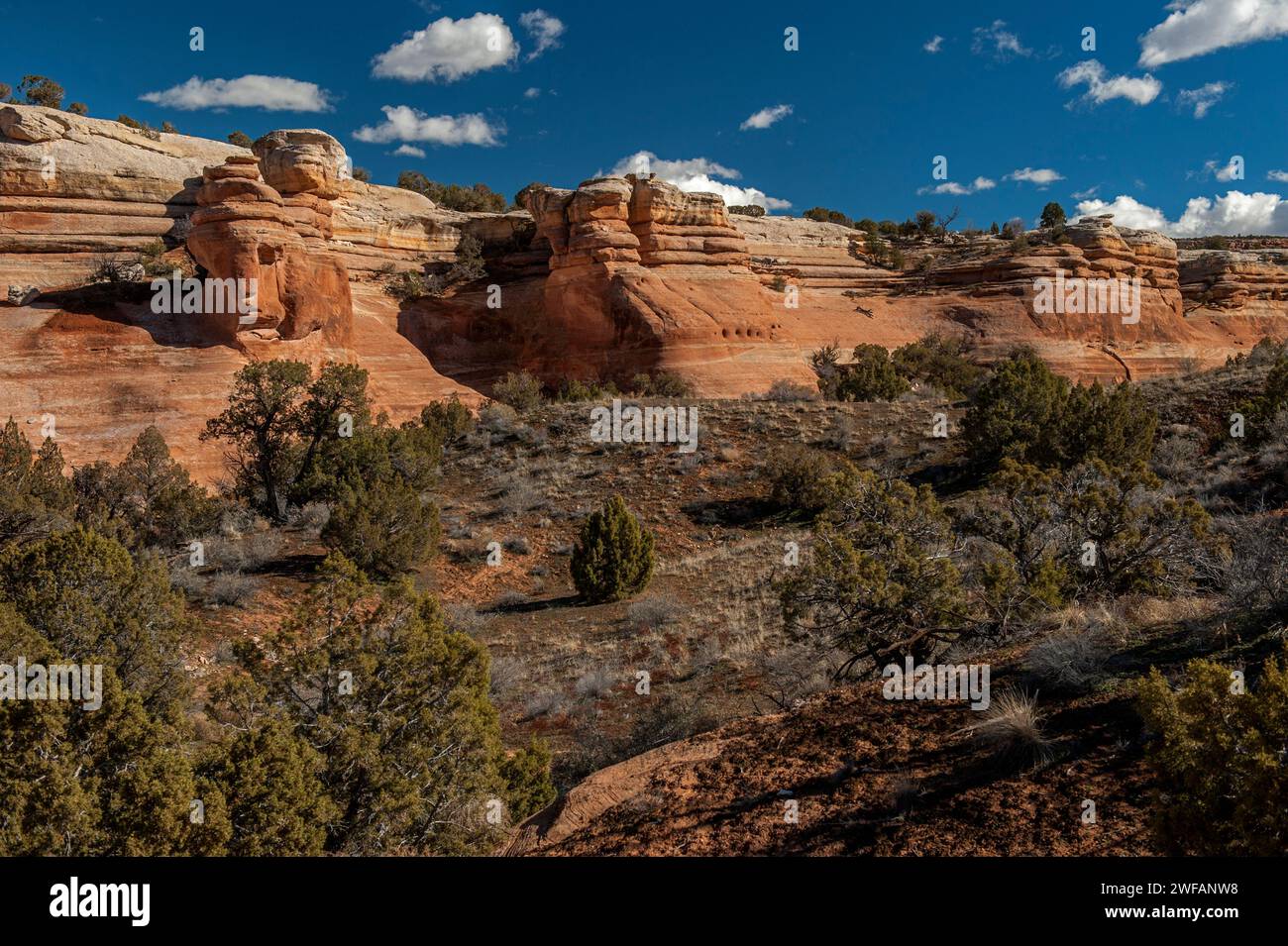 Entrada sandstone features in the side walls of Devil's Canyon, near ...