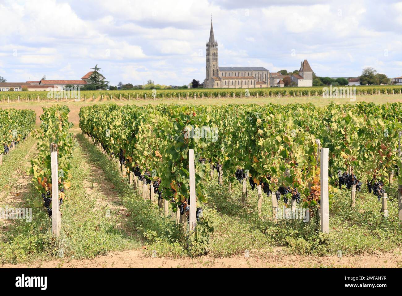 Oceanic climate hi-res stock photography and images - Alamy