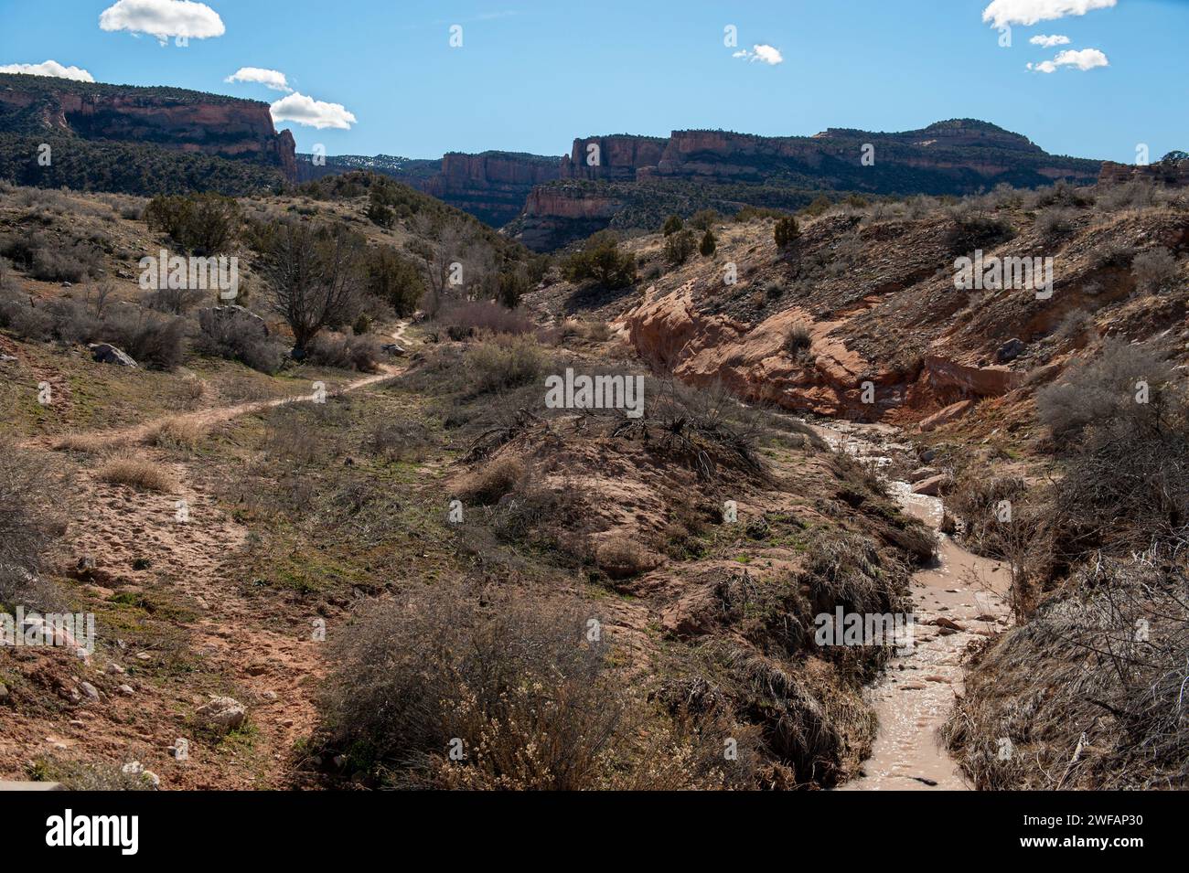 Devil's Canyon near Fruita, Colorado, the wash that comes out of it ...