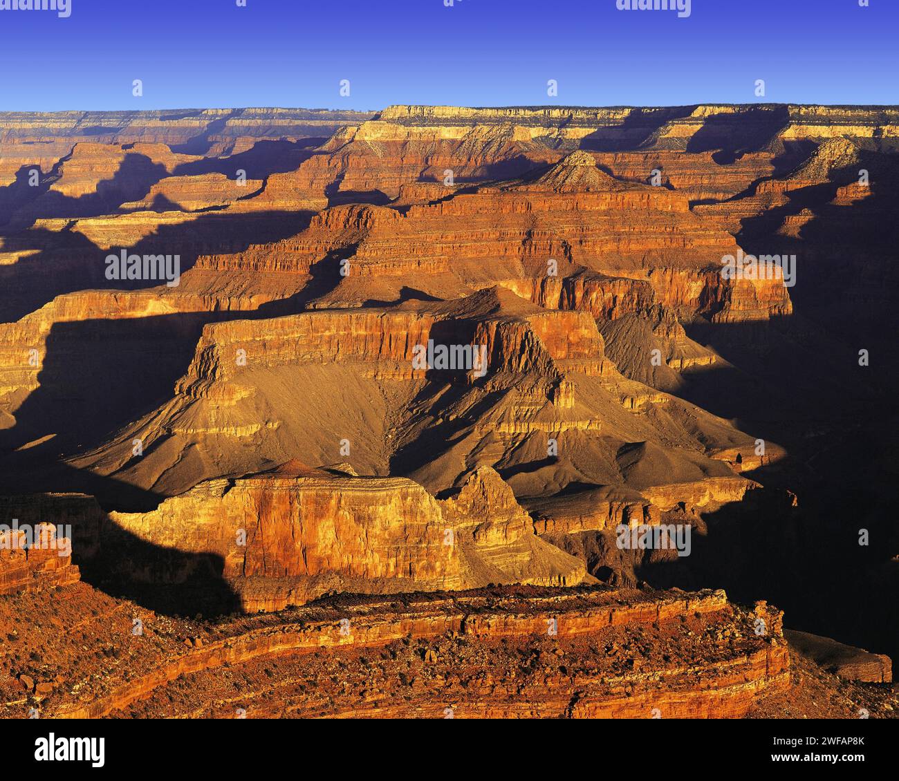 Grand Canyon from South Rim, in dramatic dawn light Stock Photo - Alamy