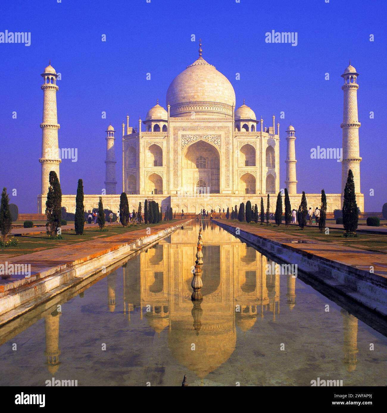 Classic early-morning view of the Taj Mahal reflecting in still water ...