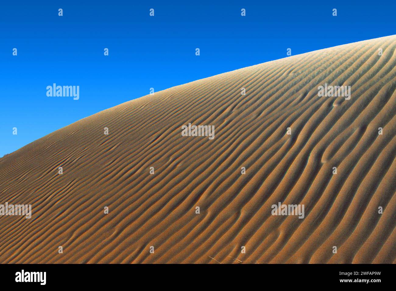 Sand-dunes in the desert of Oman near the border with Saudi Arabia ...