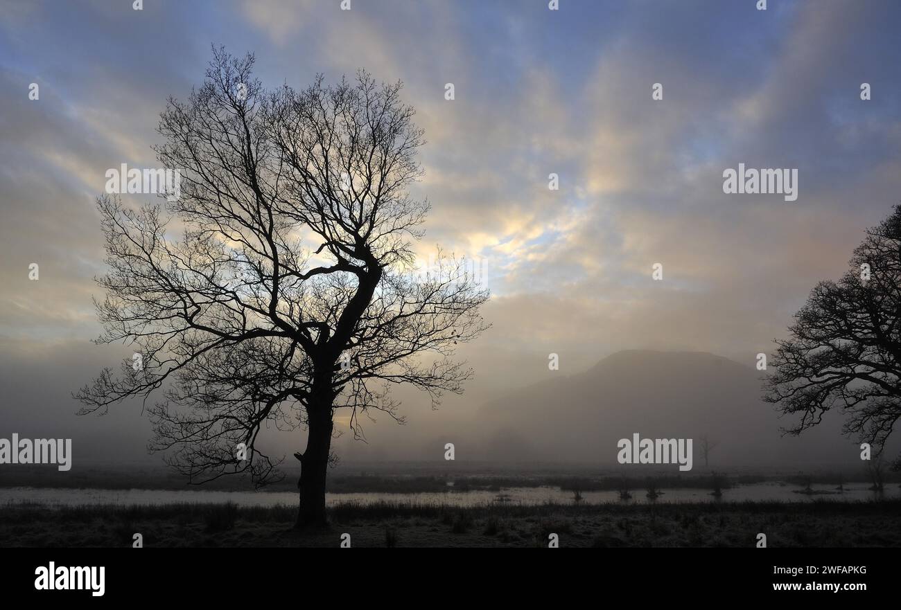 Hazy view of a distant hill as late sun shines through silhouetted ...