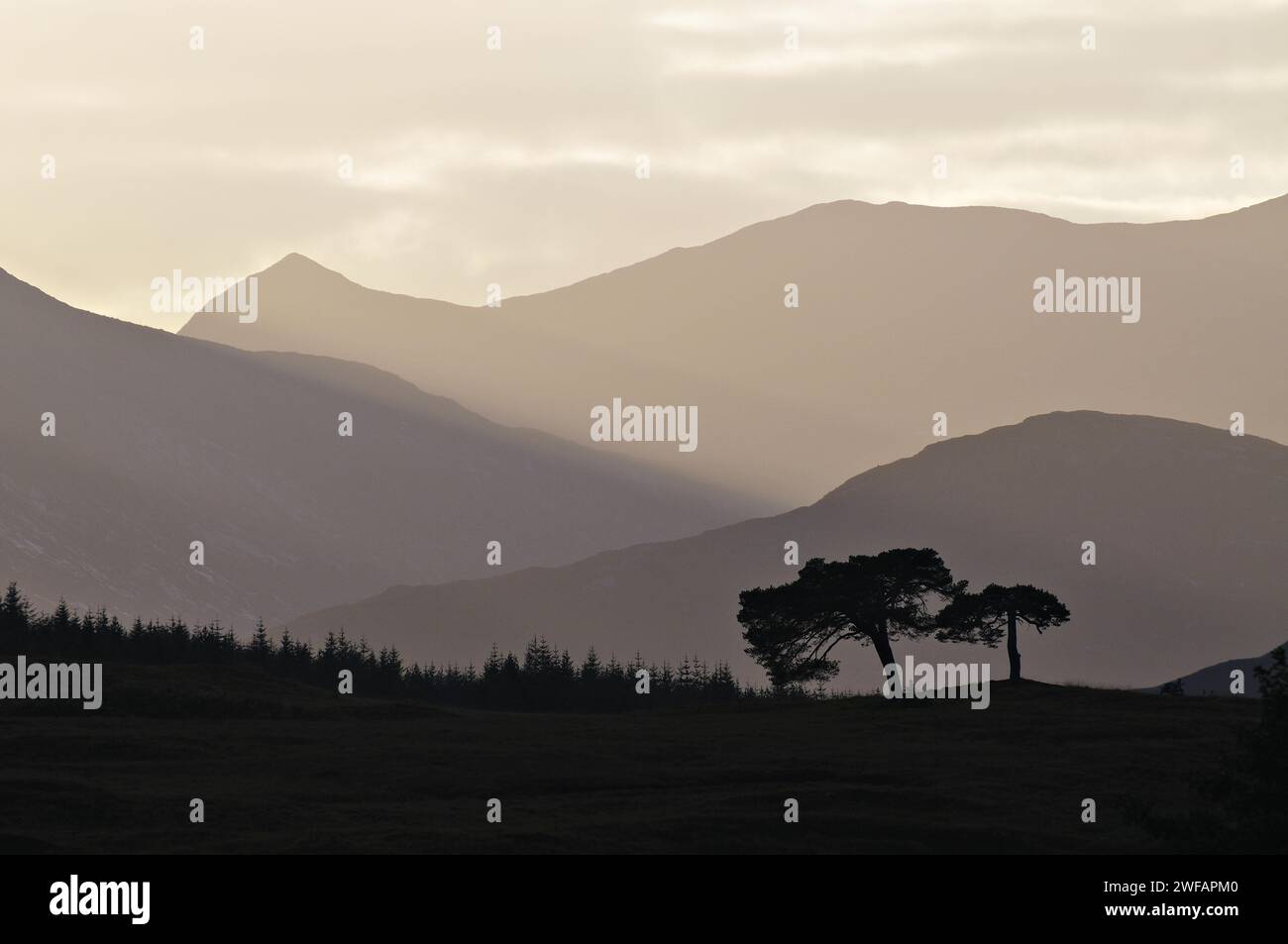 Backlit trees and hill-ridges around the western rim of Rannoch Moor ...