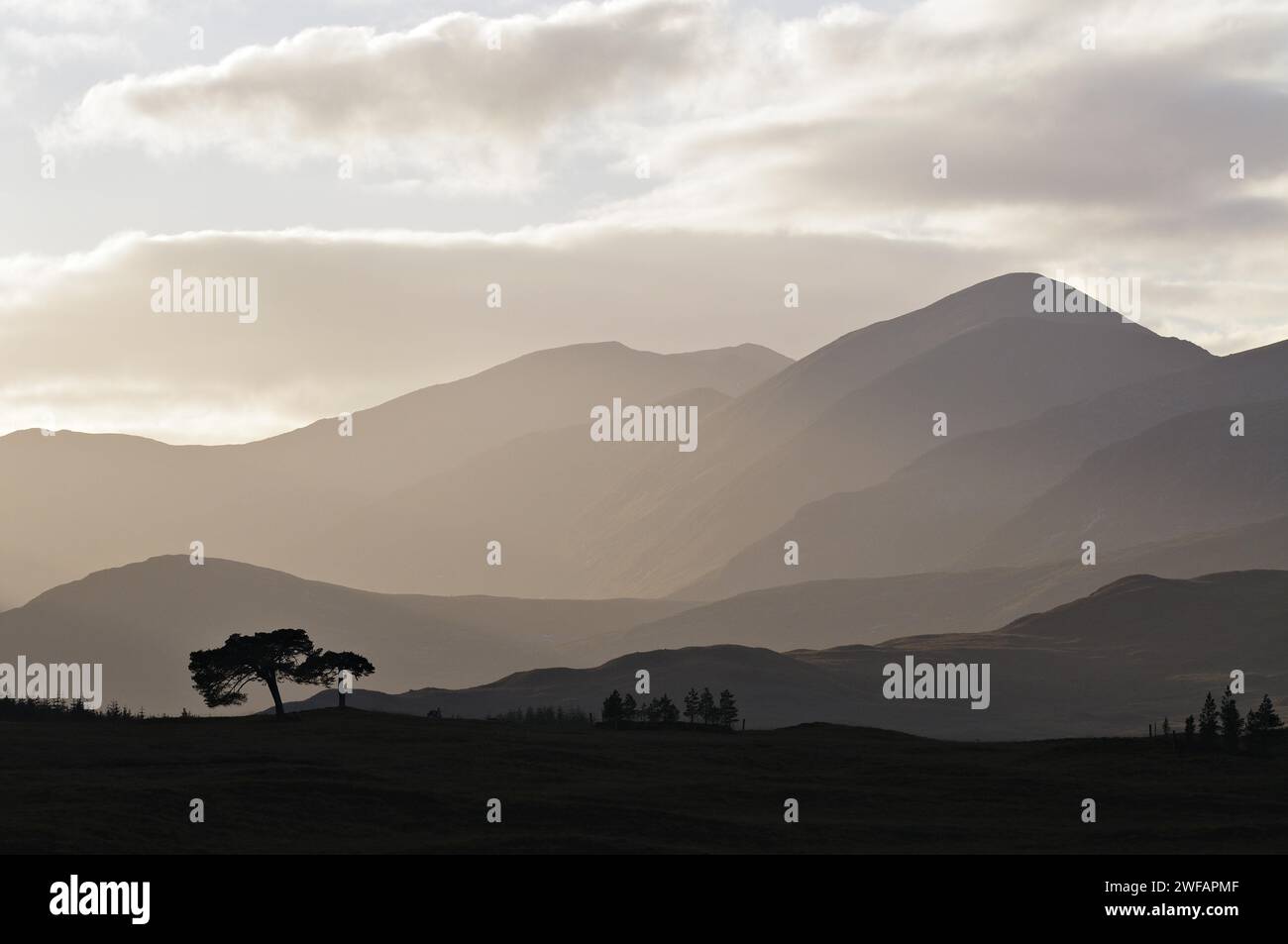 Backlit trees and hill-ridges around the western rim of Rannoch Moor ...