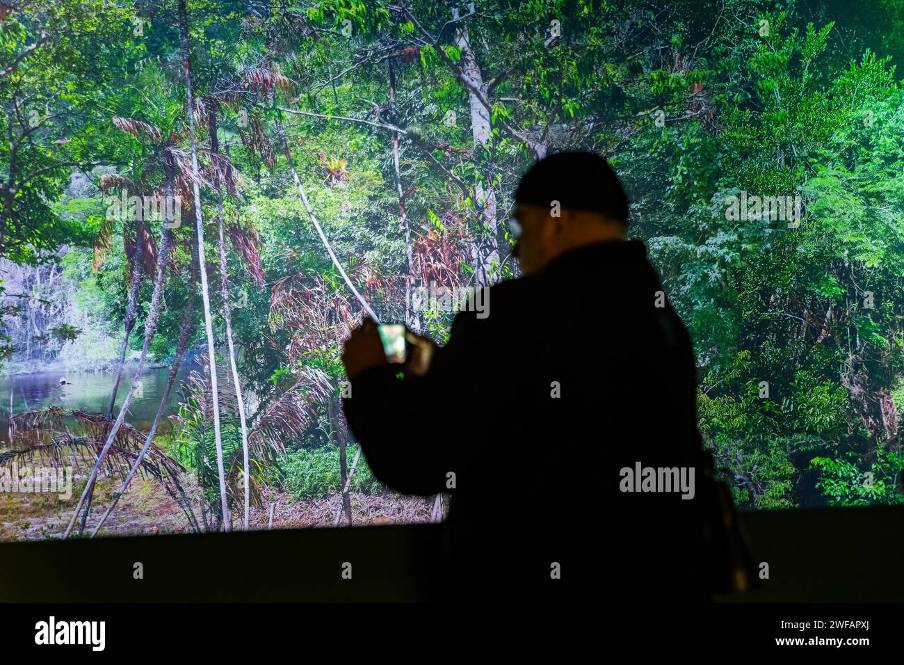 AMAZONIA - The Fascination of the Tropical Rainforest is a monumental ...