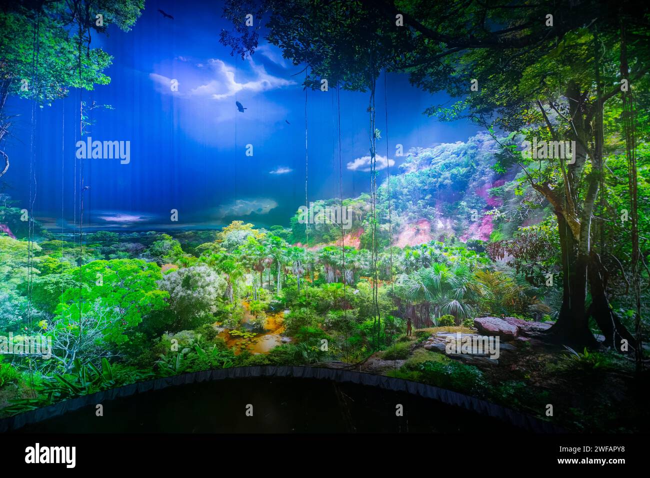 AMAZONIA - The Fascination of the Tropical Rainforest is a monumental ...