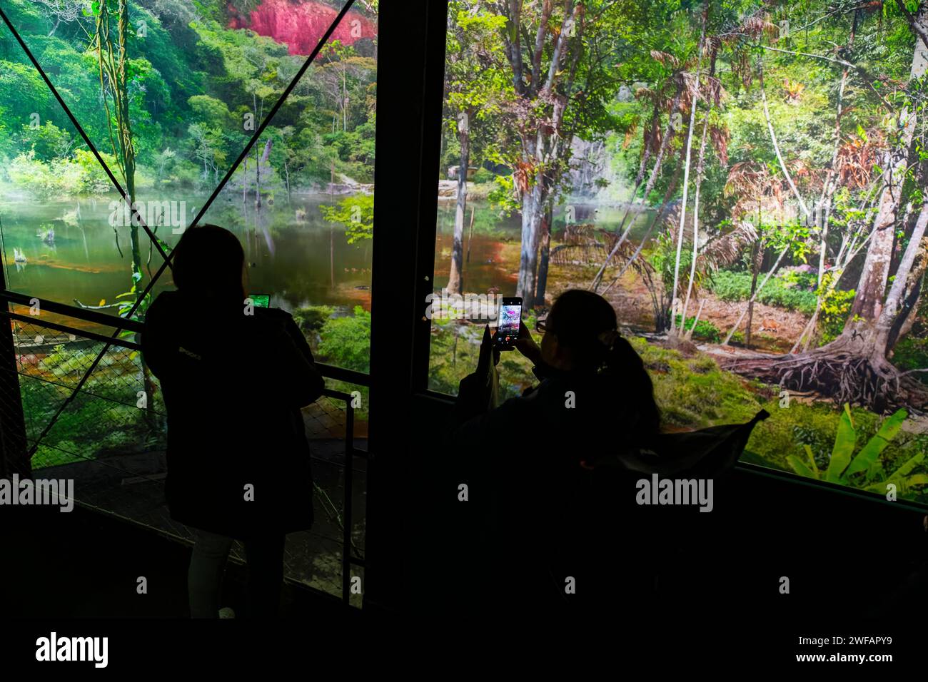 AMAZONIA - The Fascination of the Tropical Rainforest is a monumental ...