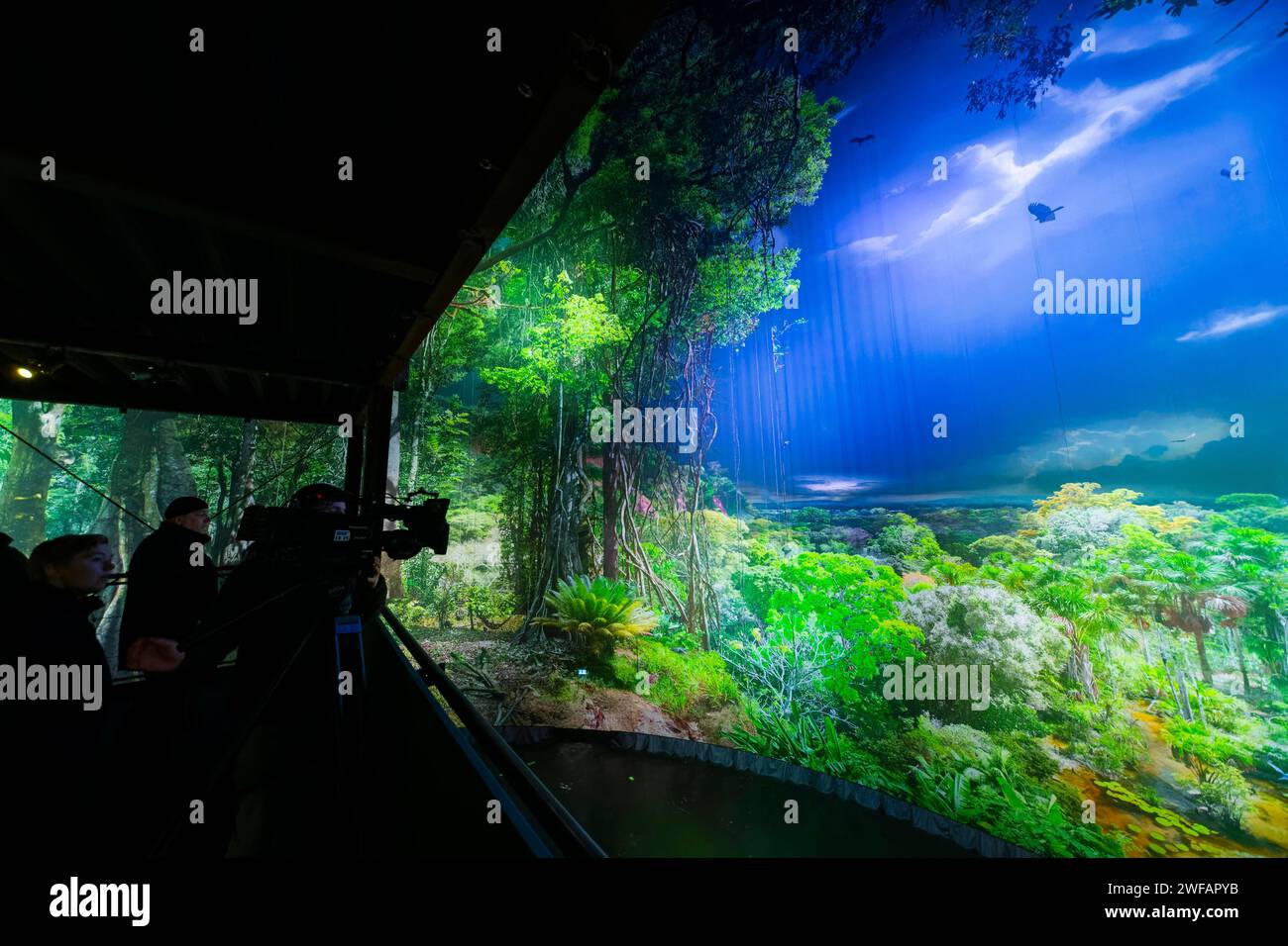 AMAZONIA - The Fascination of the Tropical Rainforest is a monumental ...