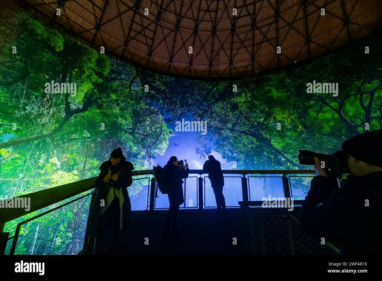 AMAZONIA - The Fascination of the Tropical Rainforest is a monumental ...