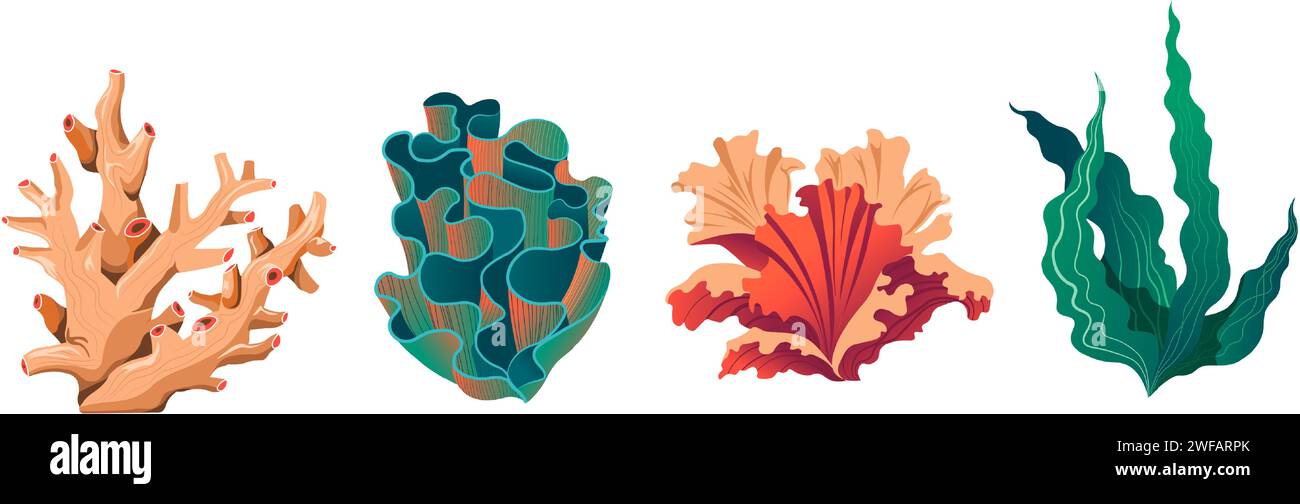 Underwater landscape reef algae Cut Out Stock Images & Pictures - Alamy