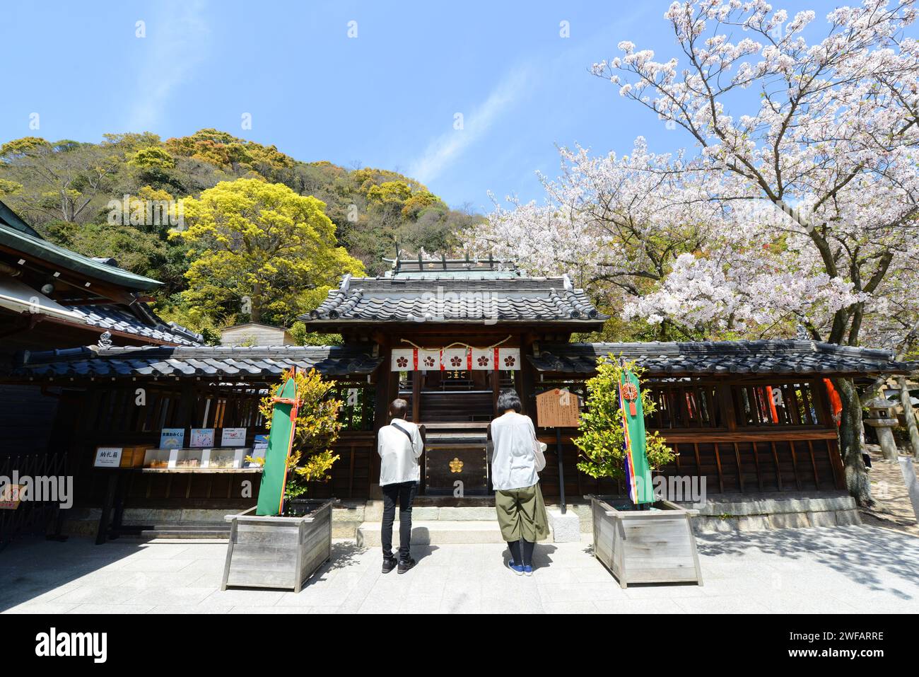 Praying at shinto shrine hi-res stock photography and images - Alamy