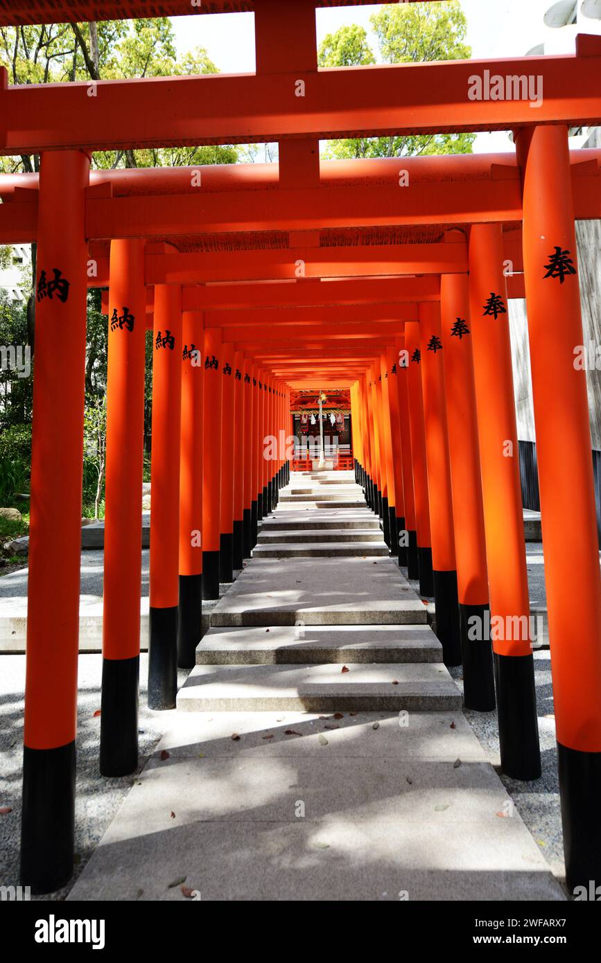 Red Tori gates at the Ikuta Shrine in Kobe, Japan Stock Photo - Alamy
