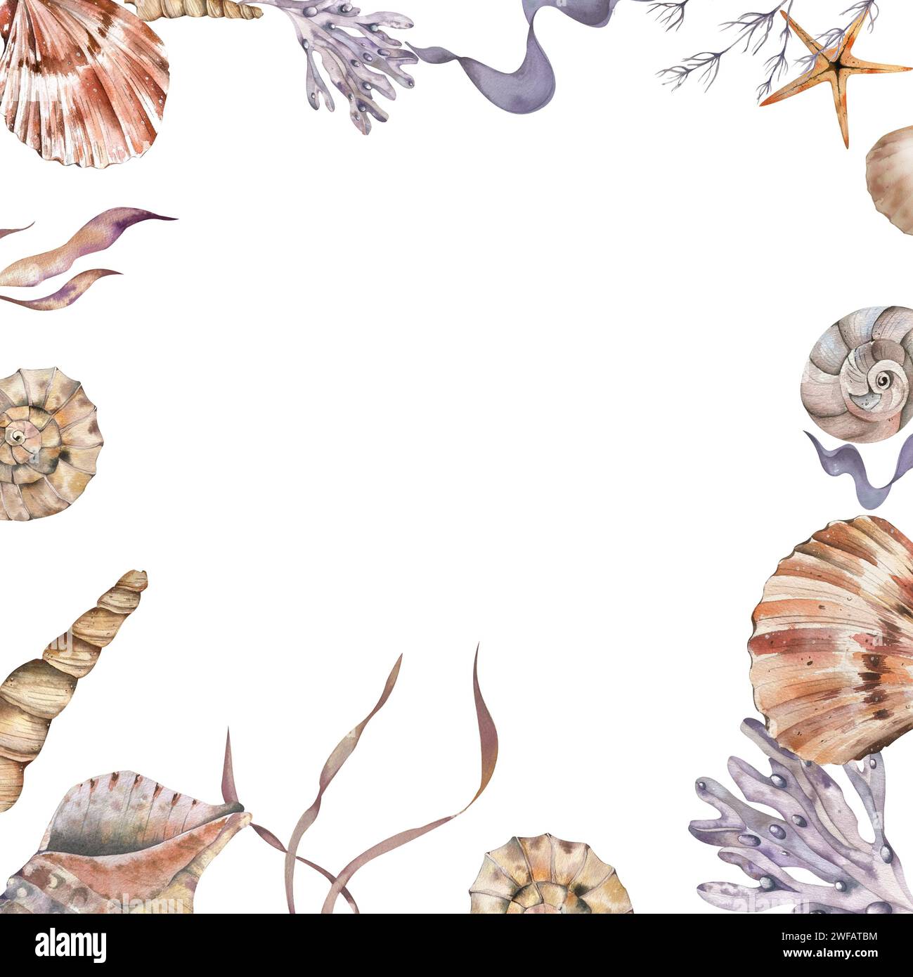 marine-themed frame. shells, corals, starfish, algae. watercolor ...