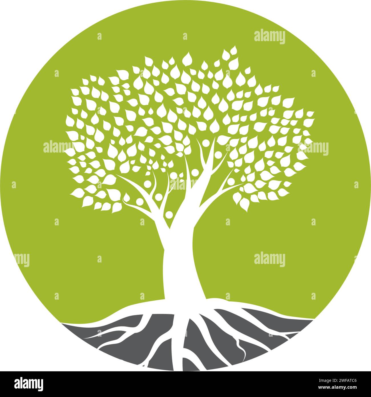 family tree logo vector template Stock Vector Image & Art - Alamy