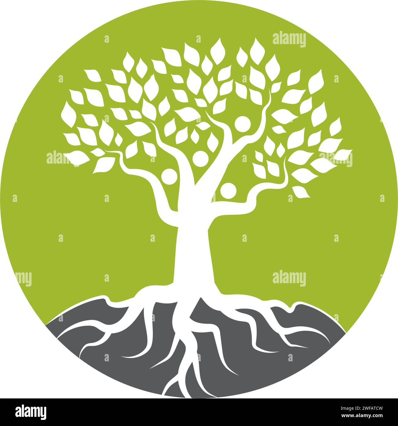 family tree logo vector template Stock Vector Image & Art - Alamy