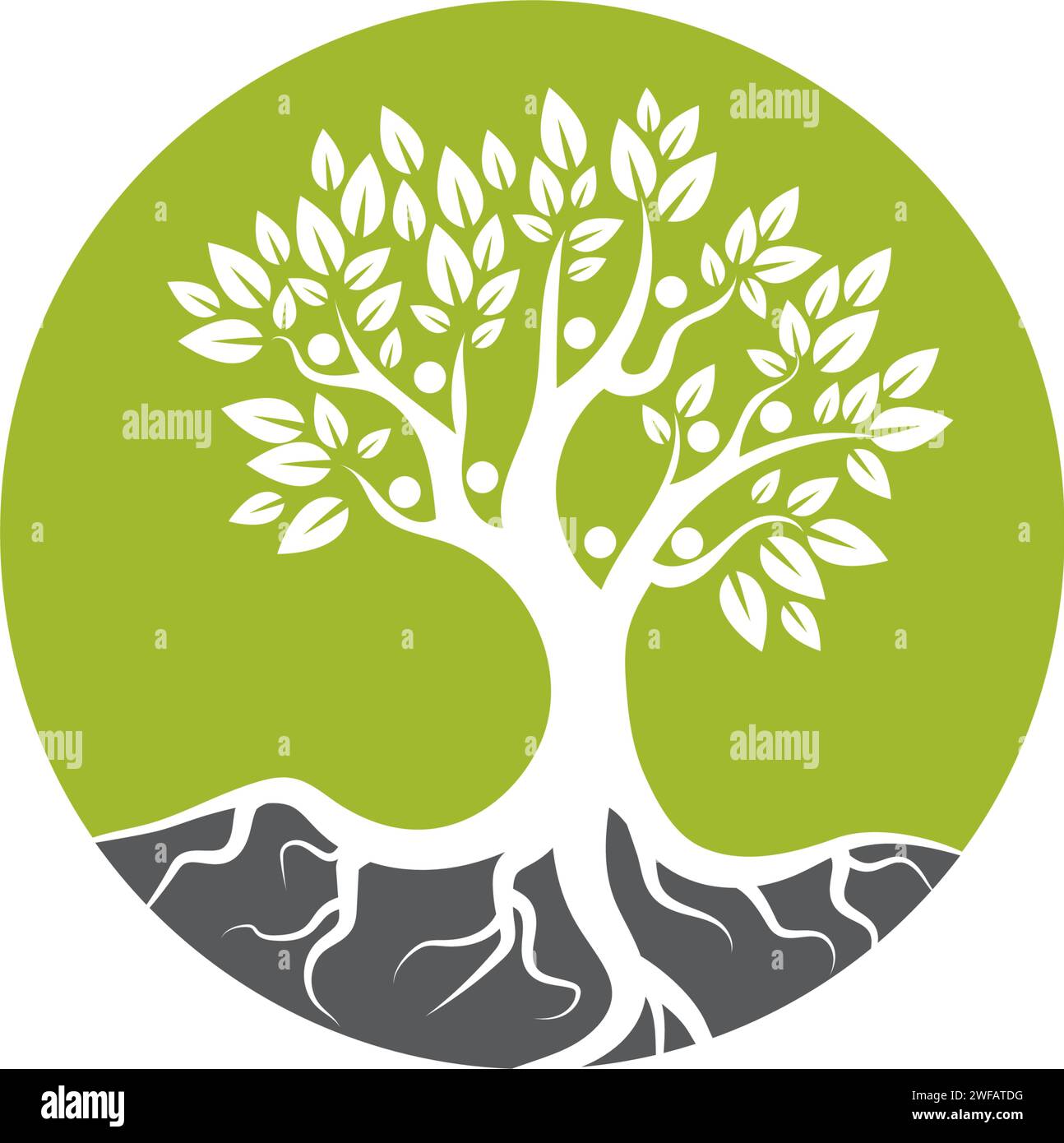 family tree logo vector template Stock Vector Image & Art - Alamy