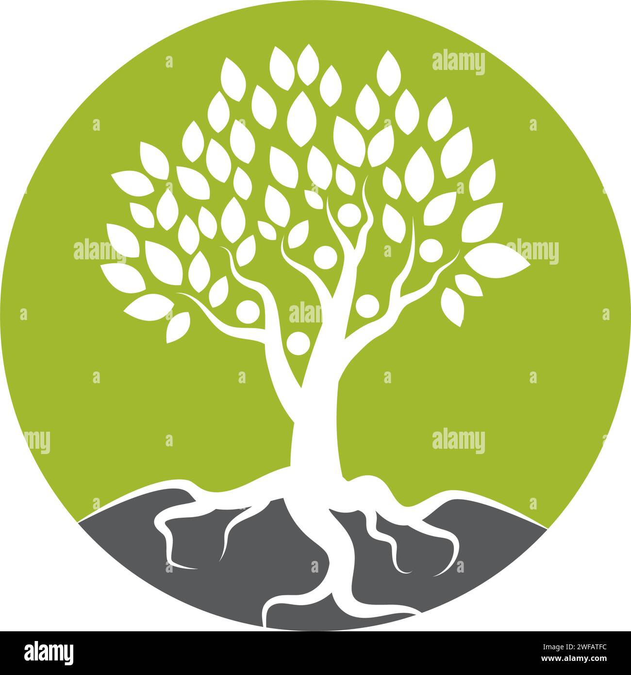 family tree logo vector template Stock Vector Image & Art - Alamy