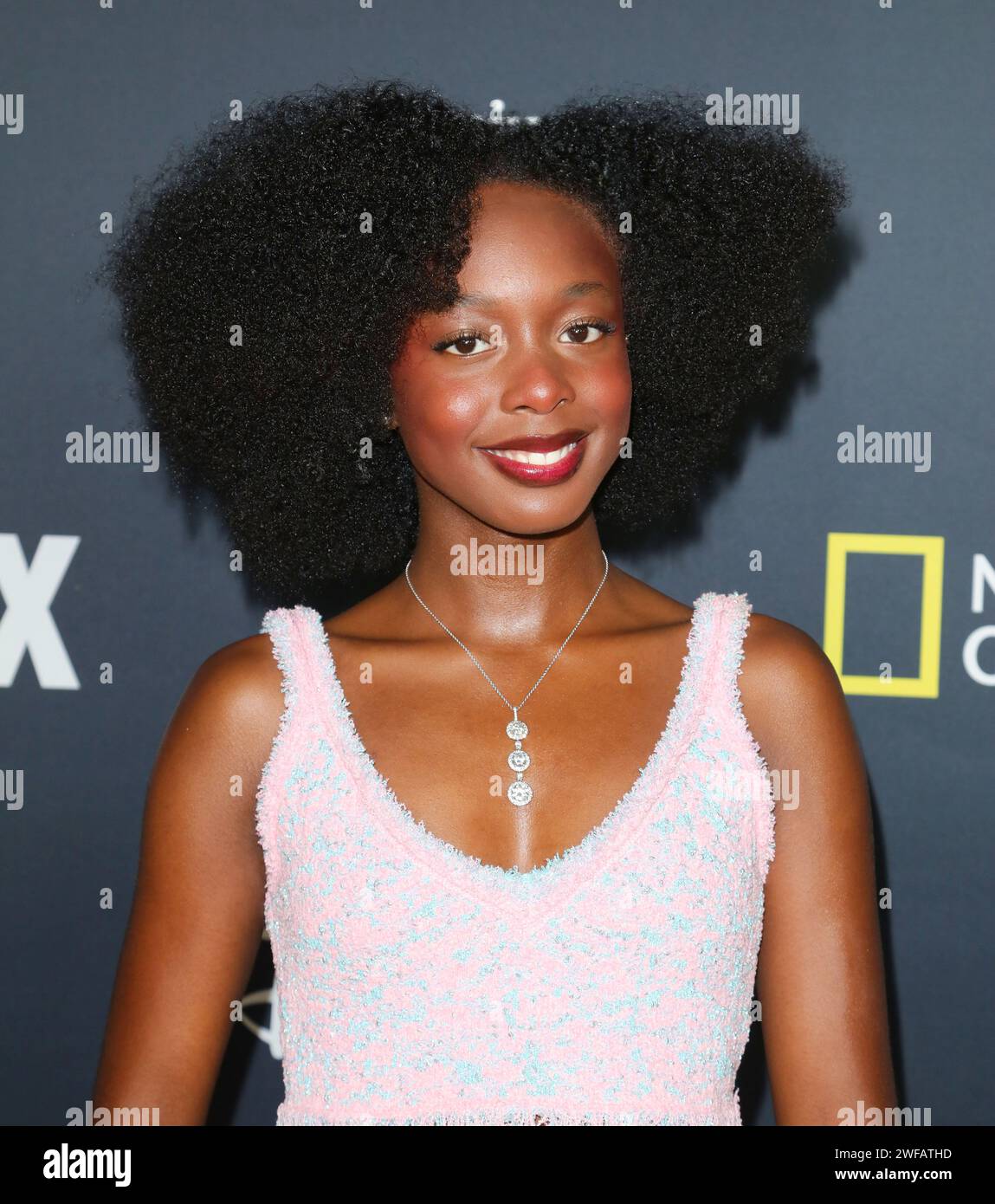 Beverly Hills, USA. 29th Jan, 2024. Danielle Jalade arrives at The red ...