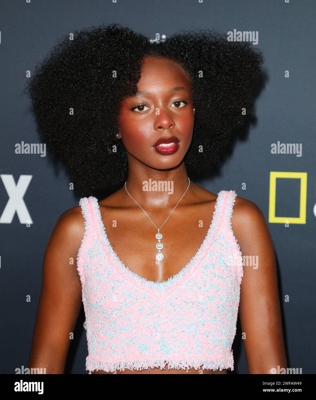 Danielle Jalade arrives at The red carpet for National Geographic's ...