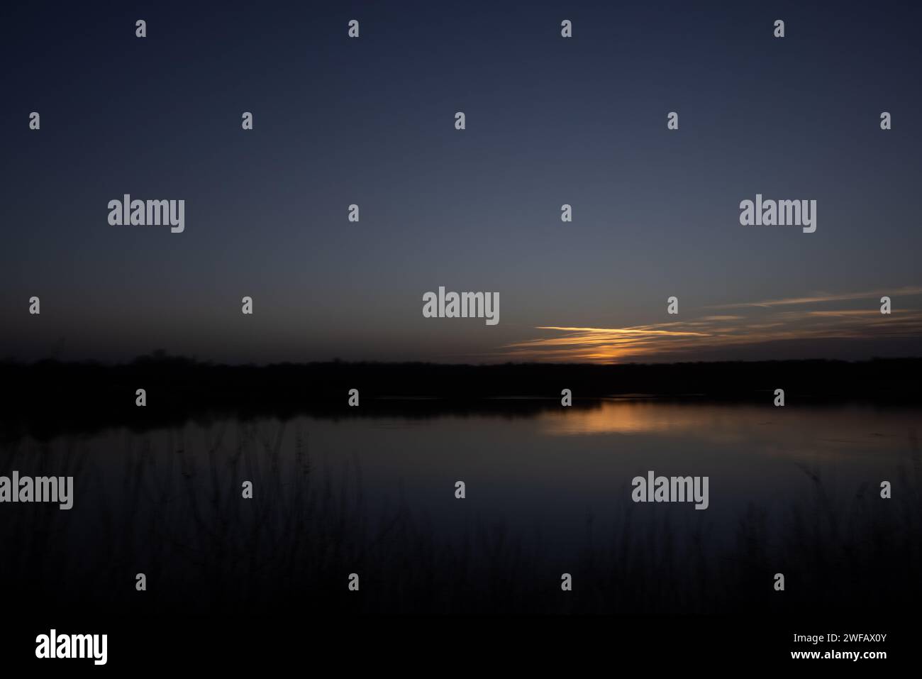 Introduce subtle colors hi-res stock photography and images - Alamy