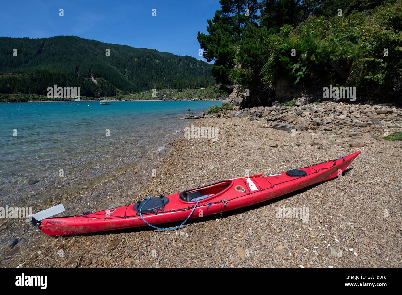 Kayak, Elaine Bay, Pelorus Sound, Marlborough Sounds, South Island, New ...
