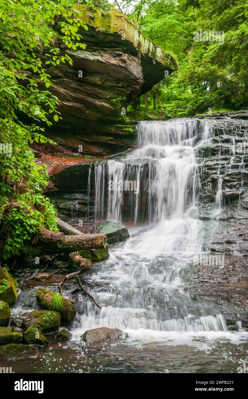 The Springfield Falls in Mercer County, PA, USA Stock Photo - Alamy
