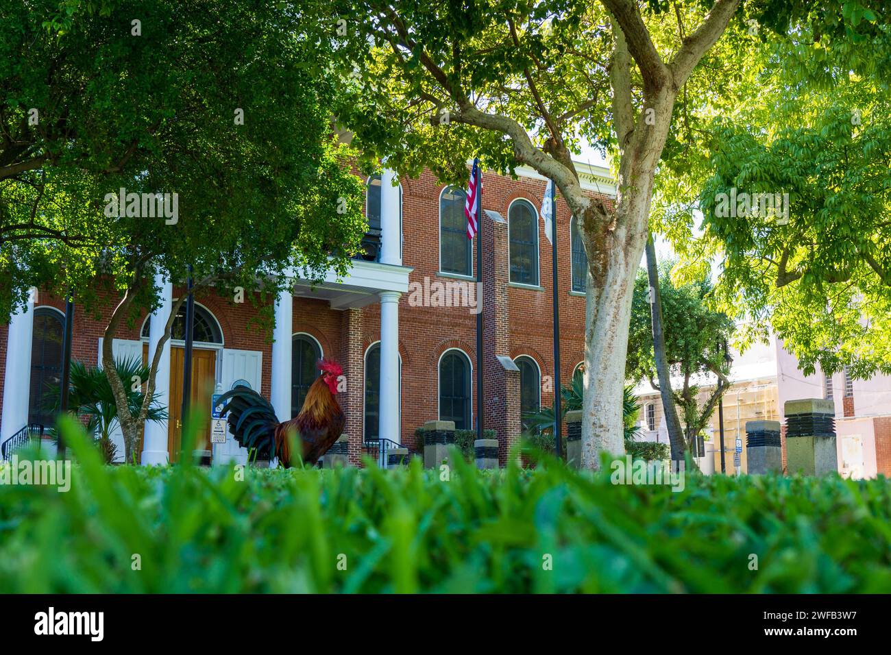 Key West Rooster Bickstone Building Stock Photo - Alamy