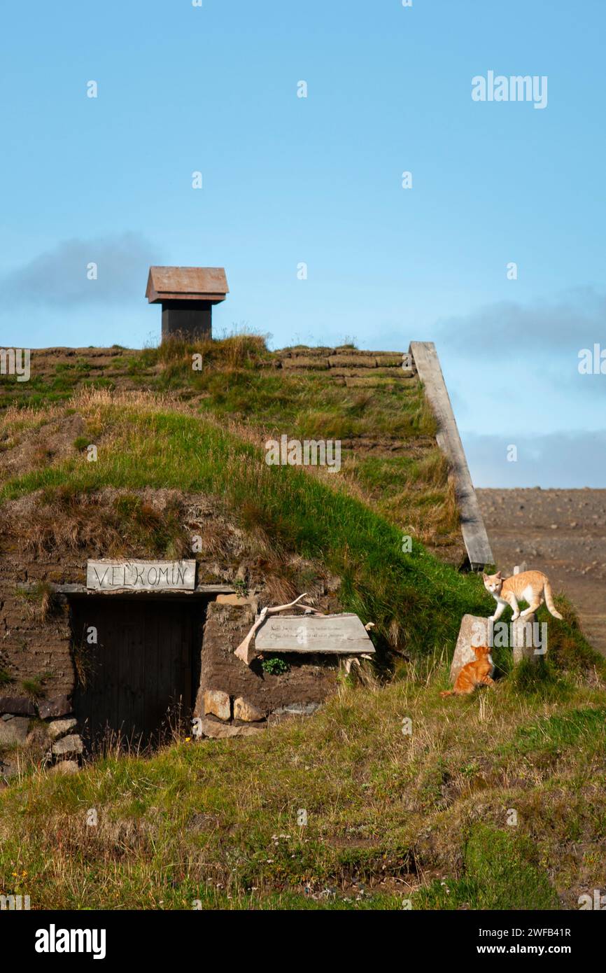 Grass roofed turf house, Myvatn, Iceland Stock Photo - Alamy