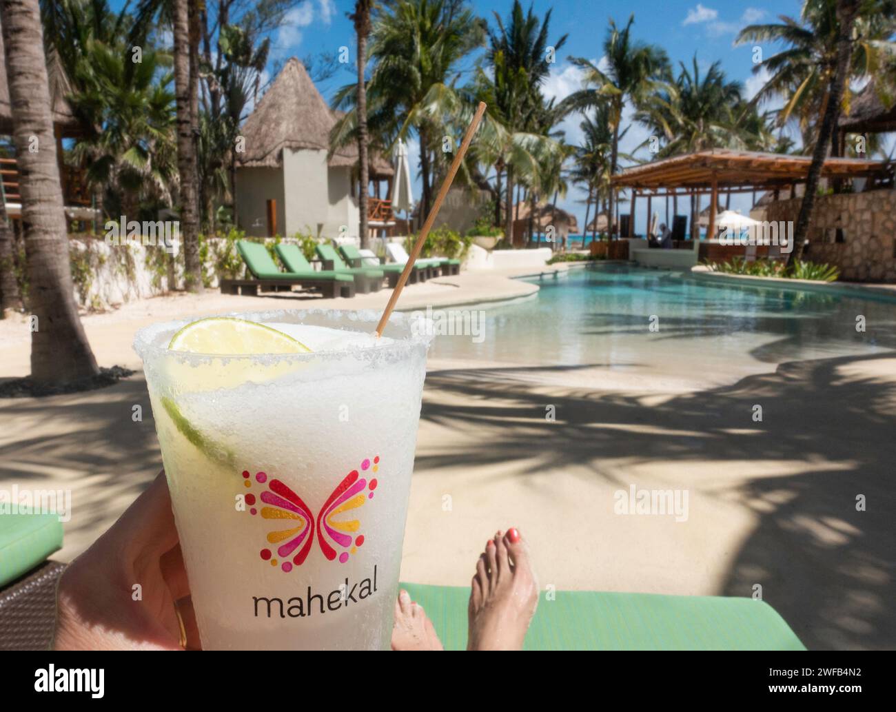 Swim up bar at a resort in Playa del Carmen, Mexico Stock Photo - Alamy
