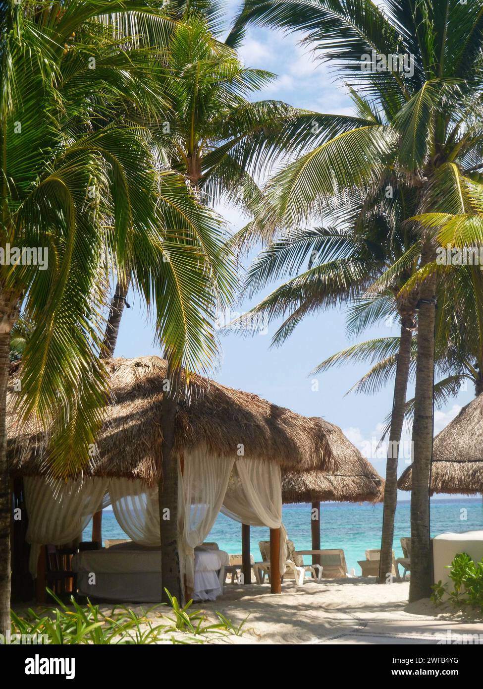 Outdoor massage hut under palm trees on the sandy beach, Playa del ...