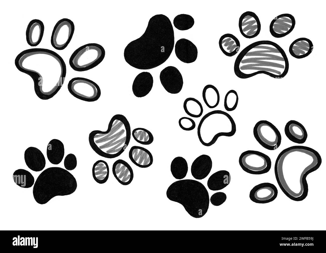 Set of different pet paw prints. Isolated on white background ...