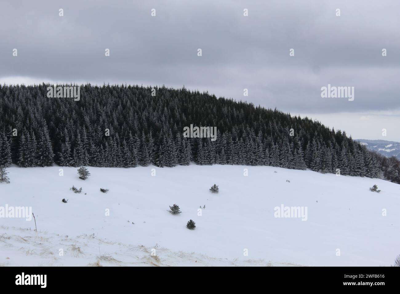 Snowy mountain slope hi-res stock photography and images - Alamy