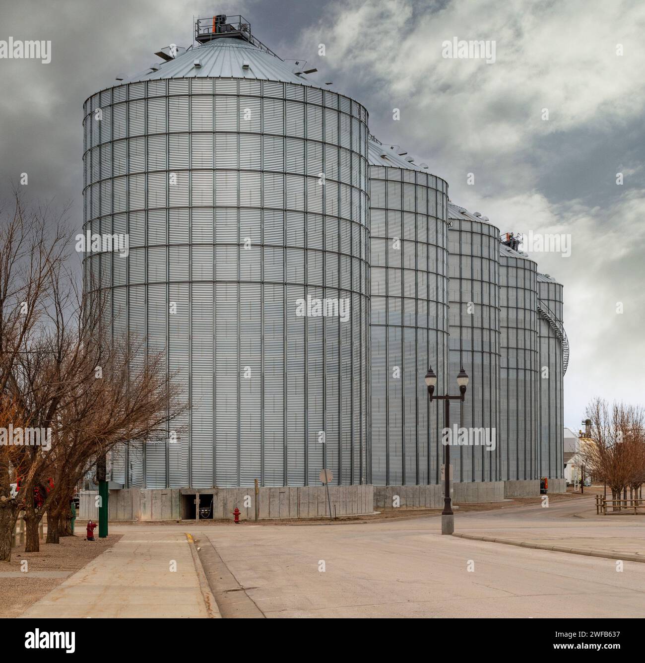 Five grain silos with street lamp and trees with the colors of fall ...